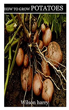HOW TO GROW POTATOES: Complete guide to growing of potatoes and setting ...