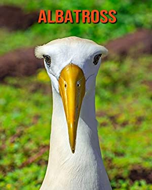 Albatross : Beautiful Pictures and Interesting Facts Children Book ...