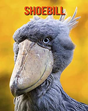 Shoebill : Amazing Facts about Shoebill book: 9798551710103