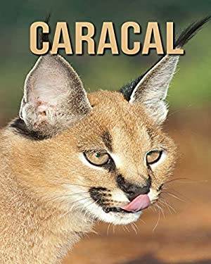 Caracal : Children's Book of Amazing Photos and Fun Facts about Caracal ...