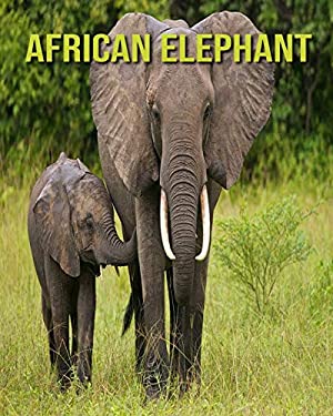 African Elephant : Childrens Book Amazing Facts and Pictures about ...