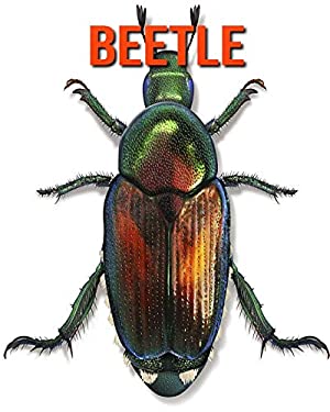 Beetle: Incredible Pictures and Fun Facts about Beetle copy: 9798693977921