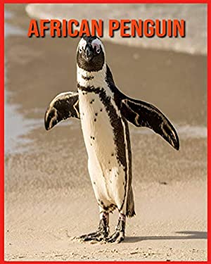 African Penguin : Beautiful Pictures and Interesting Facts Children ...
