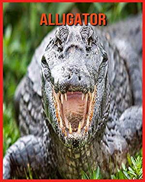 Alligator : Fun Facts and Cool Pictures book: 9798706146481
