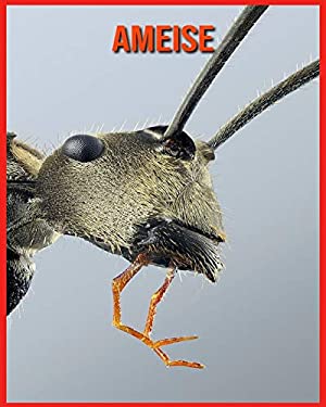 Ameise : Lustige Fakten and Coole Bilder book: 9798709787773