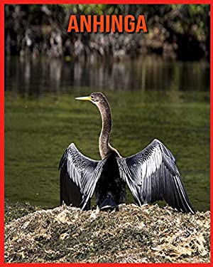 Anhinga : Fun Facts and Amazing Photos of Animals in Nature copy ...
