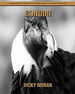 Condor: Amazing Facts and Pictures about Condor for Kids book ...