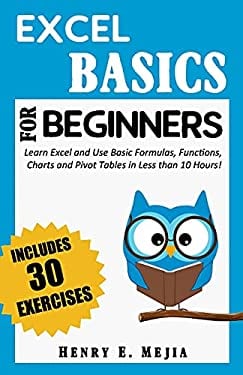 EXCEL BASICS FOR BEGINNERS: Learn Excel and Use Basic Formulas, Functions, Charts and Pivot ...