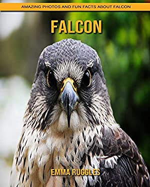 Falcon: Amazing Photos and Fun Facts about Falcon book: 9798739382900