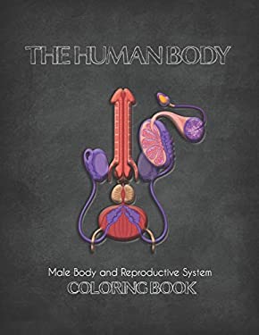 The Human Body : Male Body and Reproductive System Coloring Book: The ...