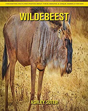 Wildebeest: Fascinating Facts and Photos about These Amazing and Unique ...