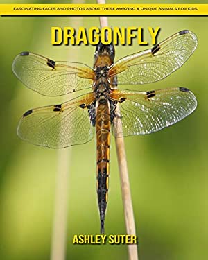 Dragonfly: Fascinating Facts and Photos about These Amazing and Unique ...