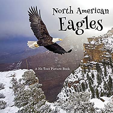 North American Eagles, A No Text Picture Book: A Calming Gift for ...