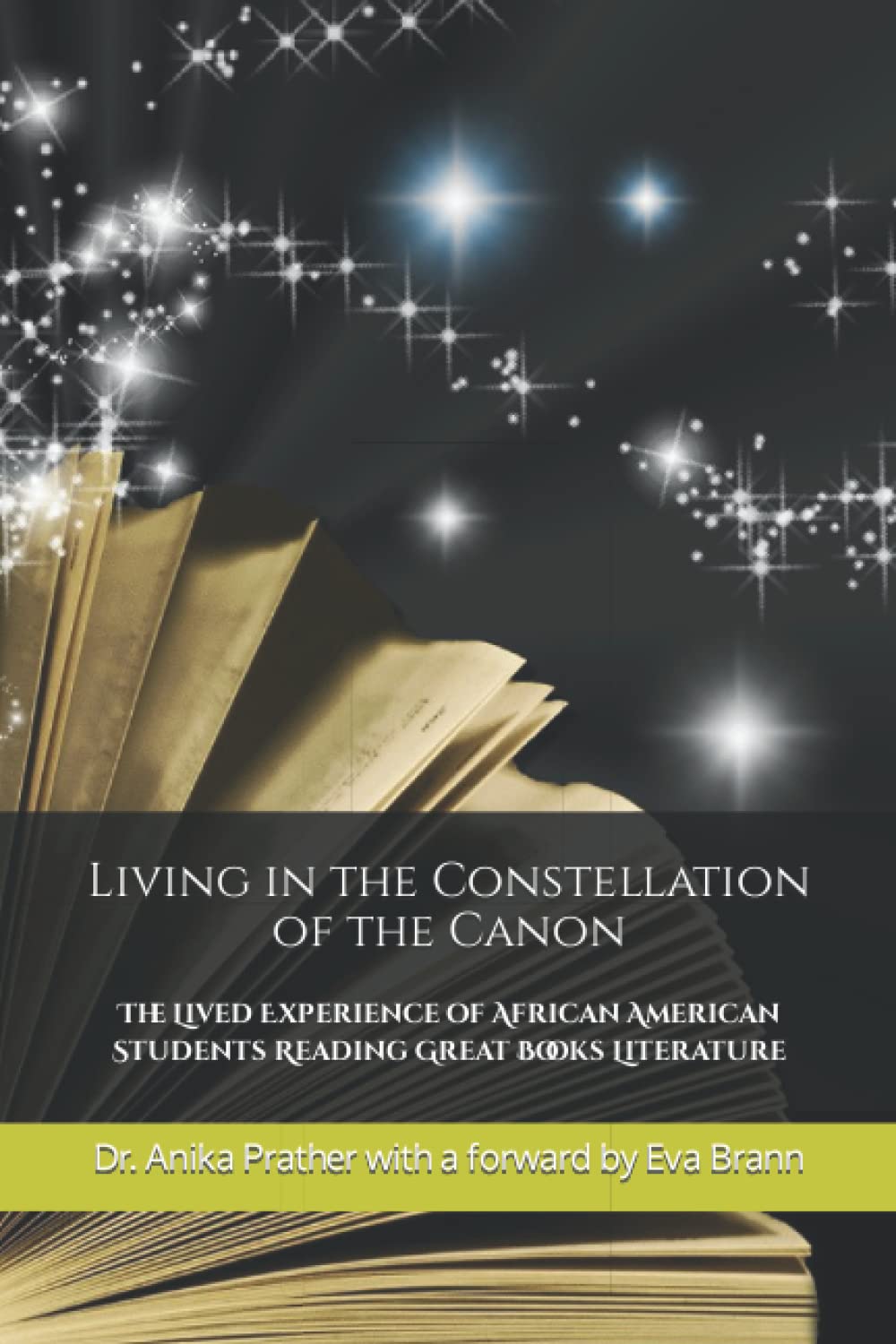 Living in the Constellation of the Canon : The Lived Experience of ...
