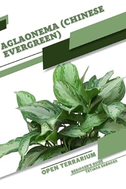 Aglaonema (Chinese Evergreen): Open terrarium, Beginner's Guide book ...