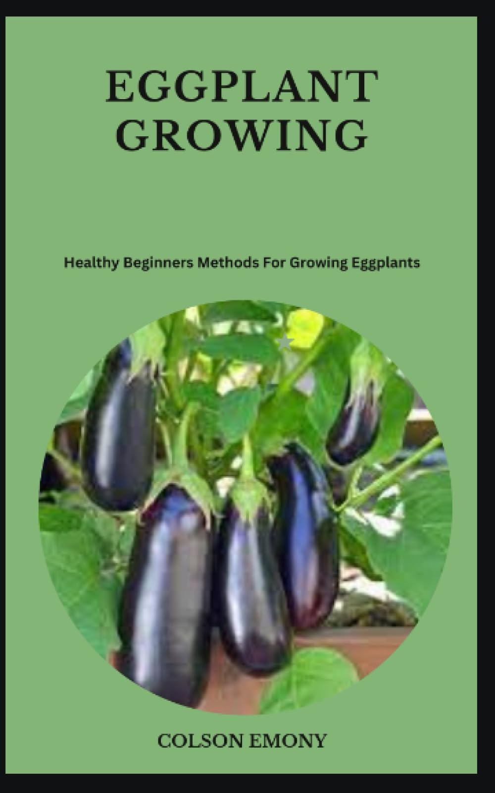 EGGPLANT GROWING: Healthy Beginners Methods For Growing Eggplants book ...