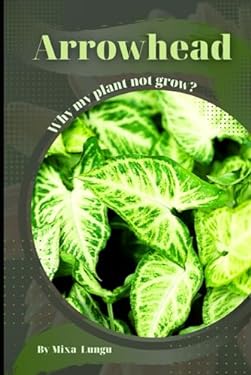 Arrowhead: Why my Plant not grow? problems and their solutions copy ...
