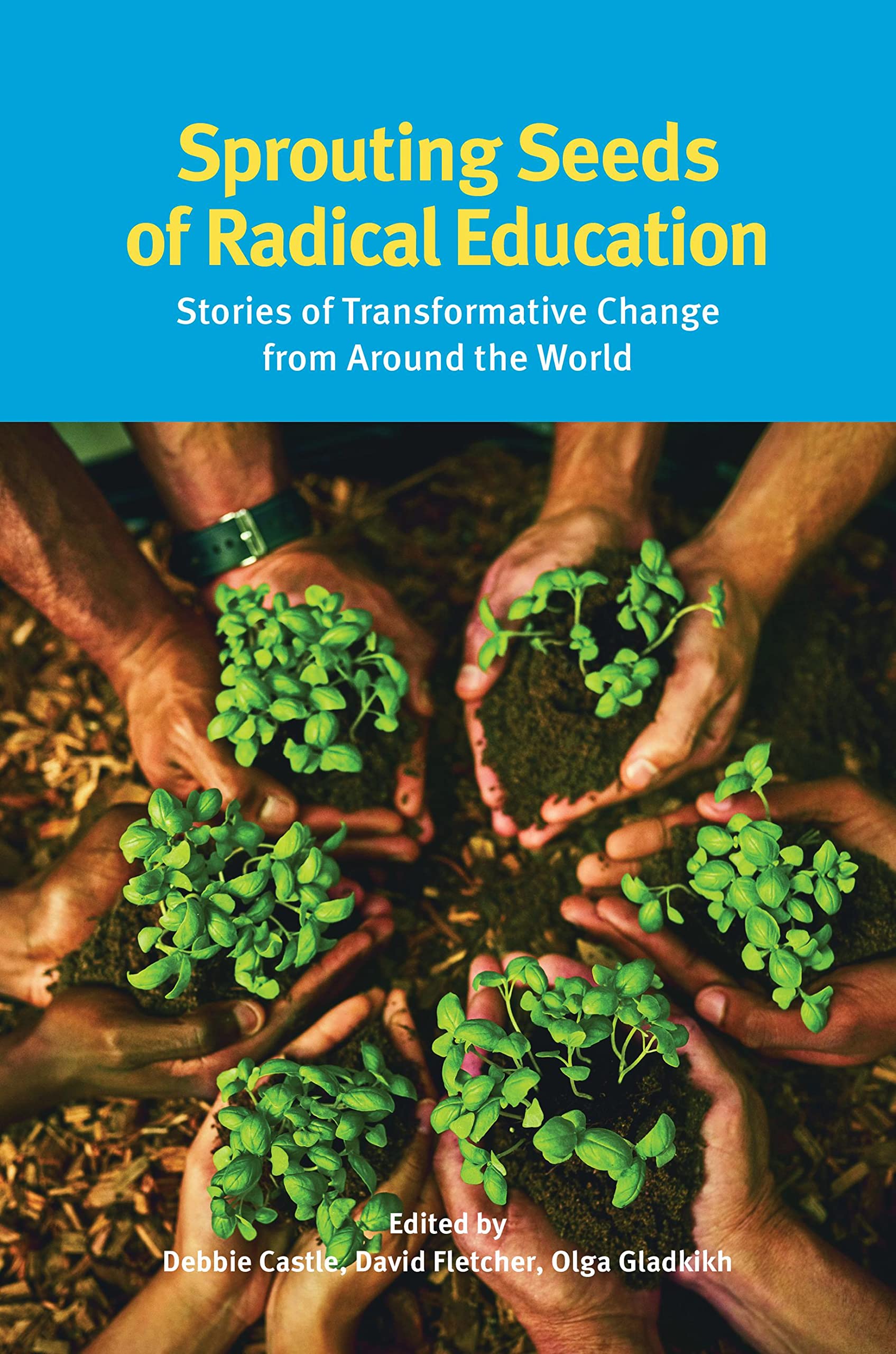 Sprouting Seeds of Radical Education: Stories of transformative change ...