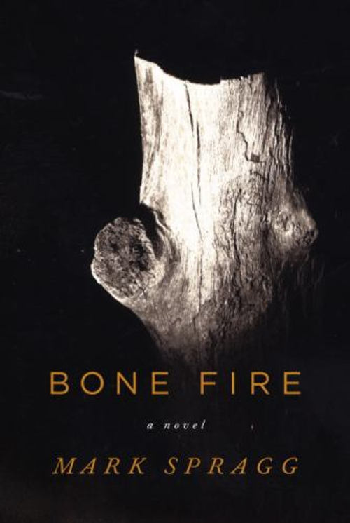 Bone Fire : A Novel Hardcover Mark Spragg 9780307272751| eBay