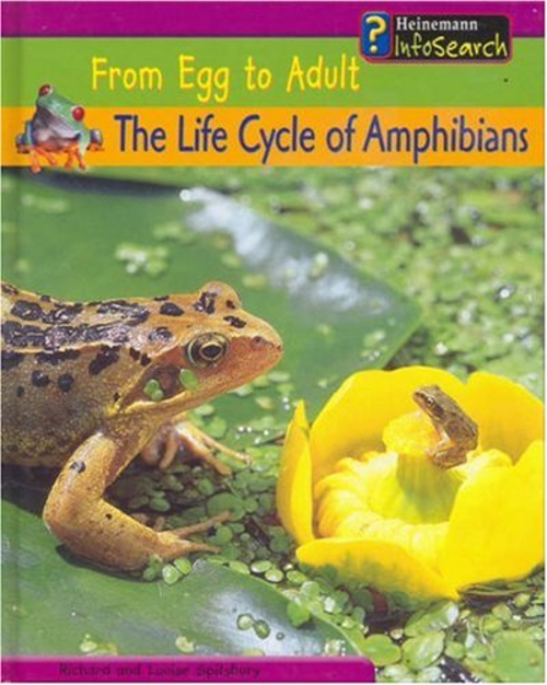 THE LIFE CYCLE of Amphibians Hardcover Louise, Spilsbury, Richard £4.90 ...