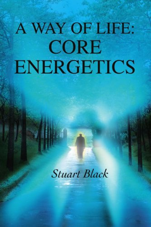 A Way of Life : Core Energetics Paperback Stuart Black 9780595328857| eBay