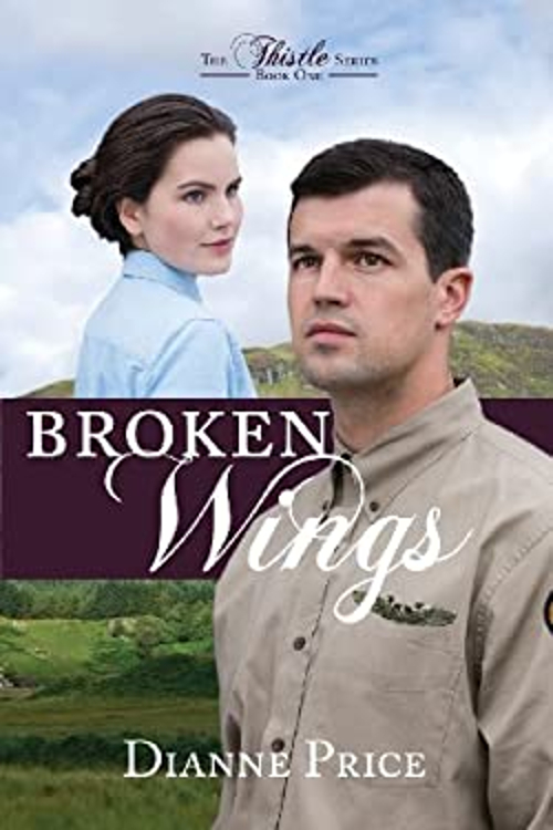 Broken Wings Paperback Dianne Price 9780989396721| eBay