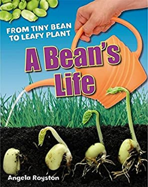 A Bean's Vie: Âge 6-7, Ci-Dessous Moyenne Lecteurs Couverture Rigide ...