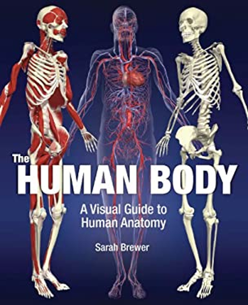 The Human Body: A Visual Guide to Human Anatomy Dr. Sarah Brewer ...