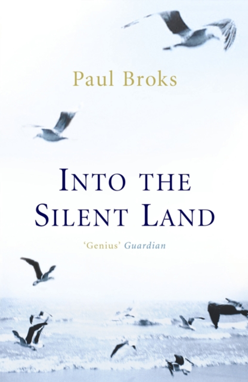 DANS LE PAYS Silencieux Broché Paul Broks EUR 6,32 - PicClick FR