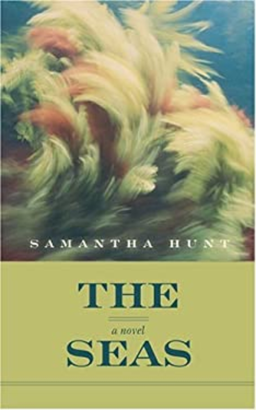 The Seas Hardcover Samantha Hunt 9781931561853| eBay